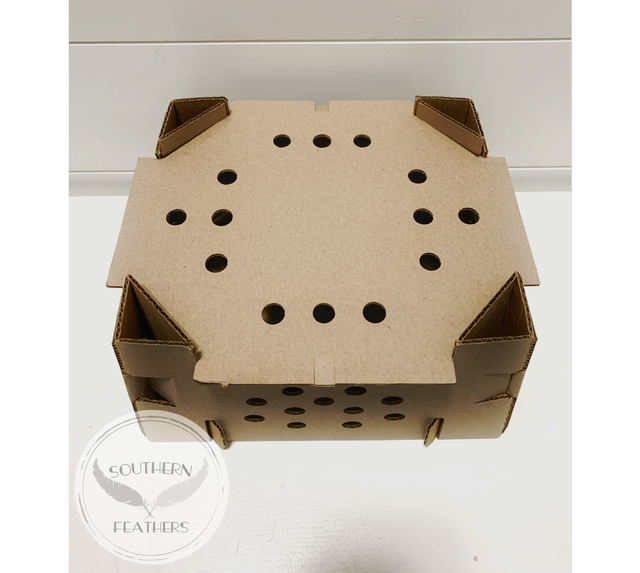 Foam Egg Shippers | Southern Feathers Shippers